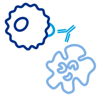 Genentech Cytokine Release Syndrome