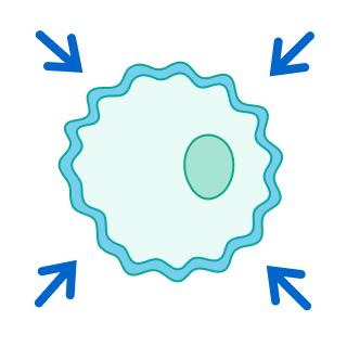Genentech Cytokine Release Syndrome
