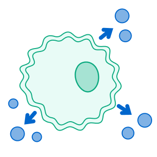 Genentech Cytokine Release Syndrome