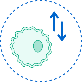 Genentech Cytokine Release Syndrome