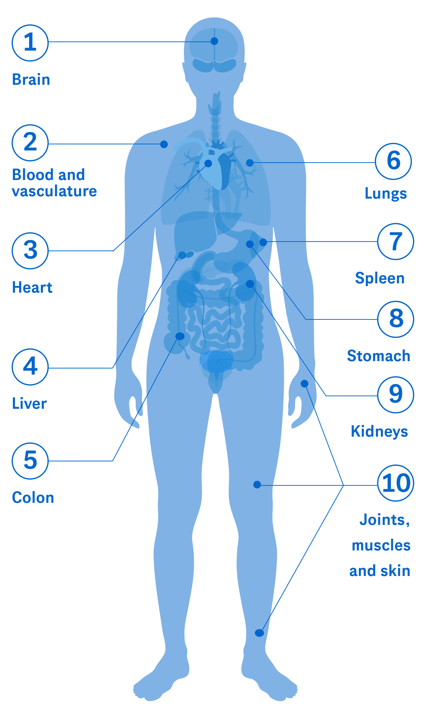 Genentech Cytokine Release Syndrome