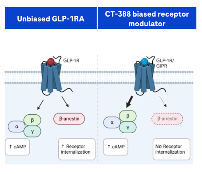 CT-388 | CVRM | Genentech Pipeline and Clinical Trials