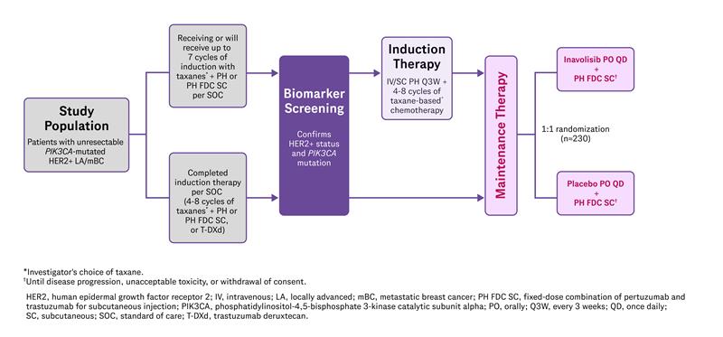 Phase III: Inavolisib in PIK3CA-mutated, HER2-positive advanced breast ...